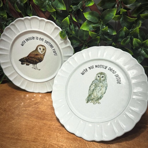 Hand Crafted | Dining | Sassy Owl Decorative Set Of Upcycled Plates ...